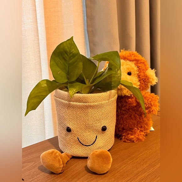 Jellycat | Toys | New Jellycat Fanmade Amuseable Plant Pot Holder ...